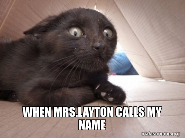 when mrs.layton calls my name - Schitzo Cat Meme Generator