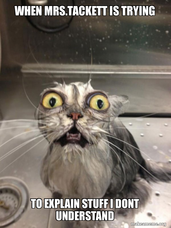when mrs.tackett is trying to explain stuff i dont understand - Cat ...