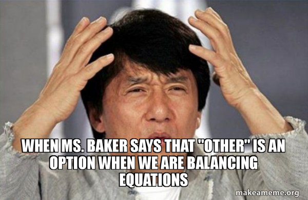 when Ms. Baker says that "other" is an option when we are balancing ...