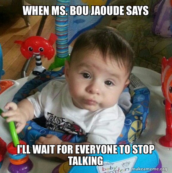 When Ms. Bou Jaoude says I'll wait for everyone to stop talking ...