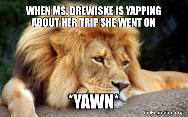 when Ms. DREWISKE is yapping about her trip she went on *yawn ...