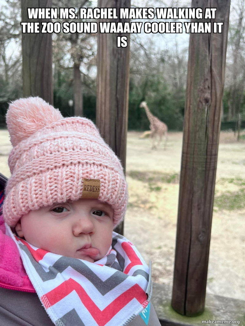 When ms. Rachel makes walking at the zoo sound waaaay cooler yhan it is ...