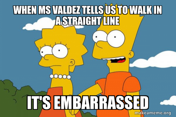 When Ms Valdez Tells us to walk in a straight Line It's Embarrassed ...