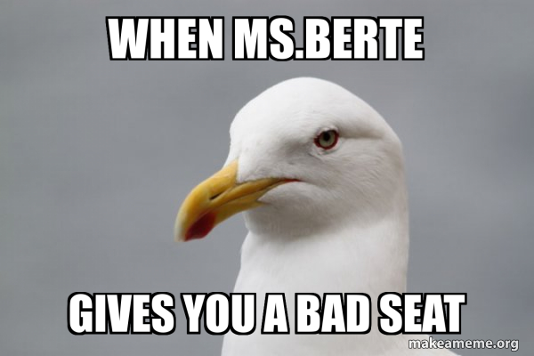 when ms.Berte gives you a bad seat - Stuff That Didn't Happen Seagull ...