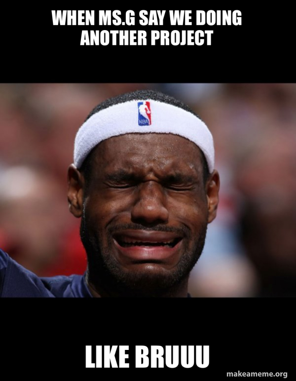 when Ms.g say we doing another project like bruuu - Lebron Crying Meme ...