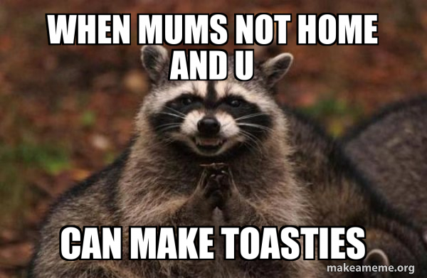 when mums not home and u can make toasties - Evil Plotting Raccoon Meme ...