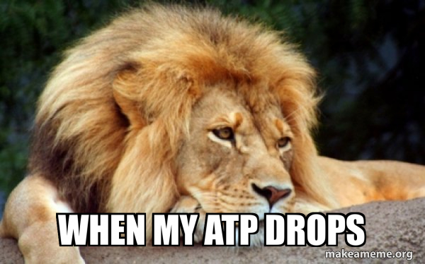 When my ATP drops - Confession Lion Meme Generator