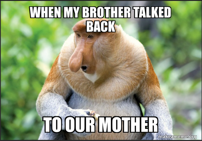 When my brother talked back to our mother Meme Generator
