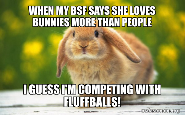 when my bsf says she loves bunnies more than people I guess I'm ...