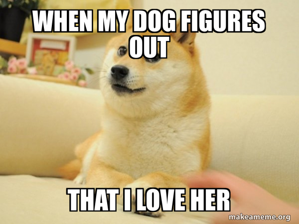 When my dog figures out that I love her - Doge Meme Generator