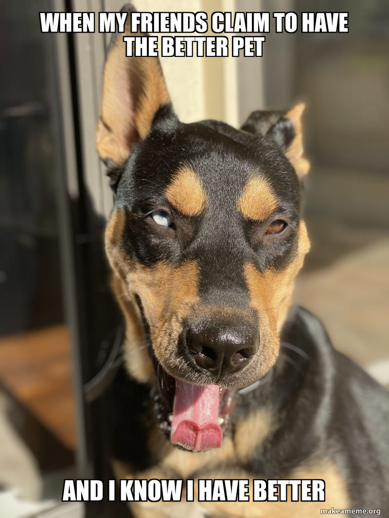 When my friends claim to have the better pet And I know I HAVE BETTER ...