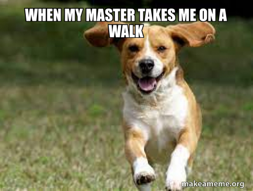when my master takes me on a walk Meme Generator