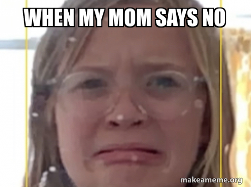 When my mom says no Meme Generator
