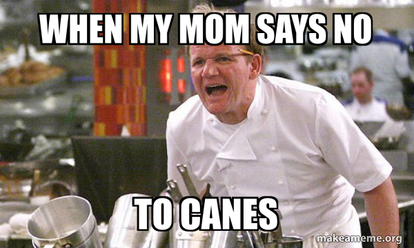 When my mom says no to canes - Gordon Ramsay Hell's Kitchen Meme Generator