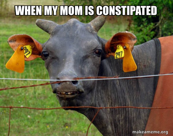 when my mom is constipated - Hairless Cow Meme Generator