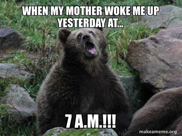 When my mother woke me up yesterday at... 7 a.m.!!! - Sarcastic Bear ...