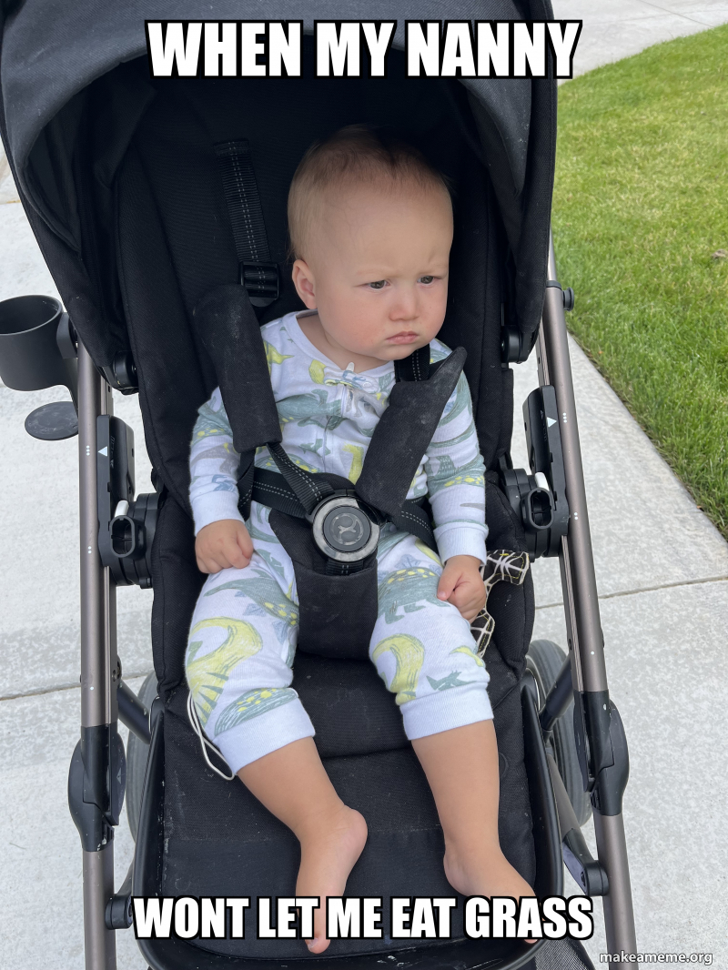 When my nanny wont let me eat grass Meme Generator