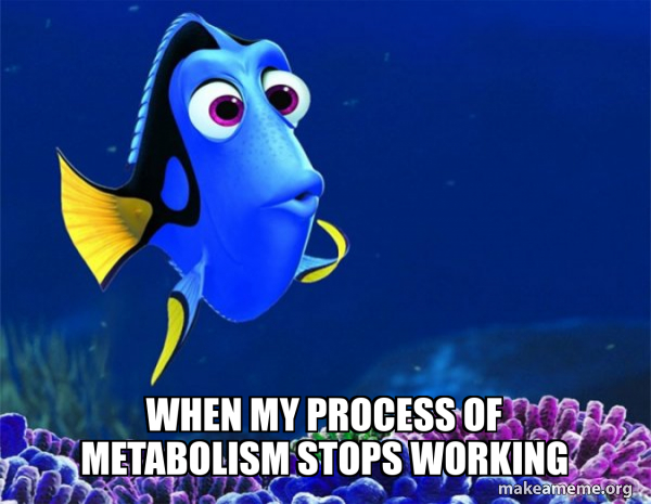 When my process of metabolism stops working - Dory from Nemo (5 second ...