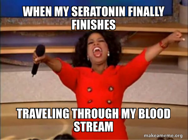 When my seratonin finally finishes traveling through my blood stream ...
