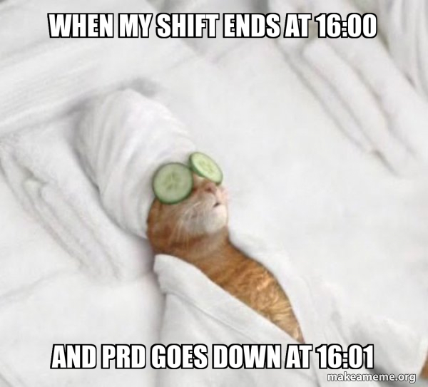 When my shift ends at 16:00 And PRD goes down at 16:01 - Pampered Cat ...