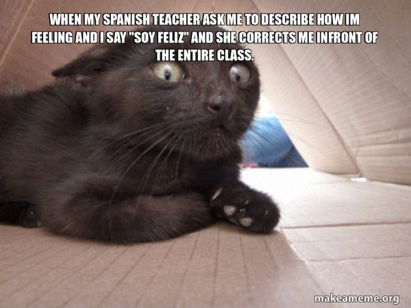 When my Spanish teacher ask me to describe how im feeling and I say ...