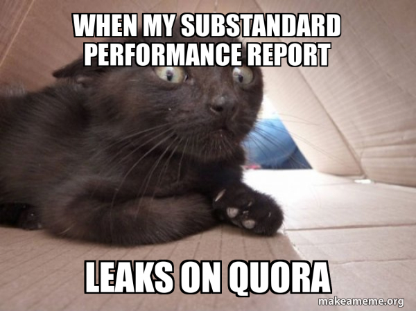 When my substandard performance report leaks on quora - Schitzo Cat ...