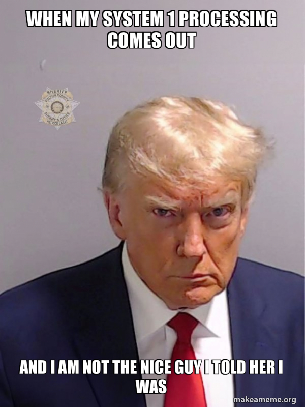 When my system 1 processing comes out and I am not the nice guy I told ...