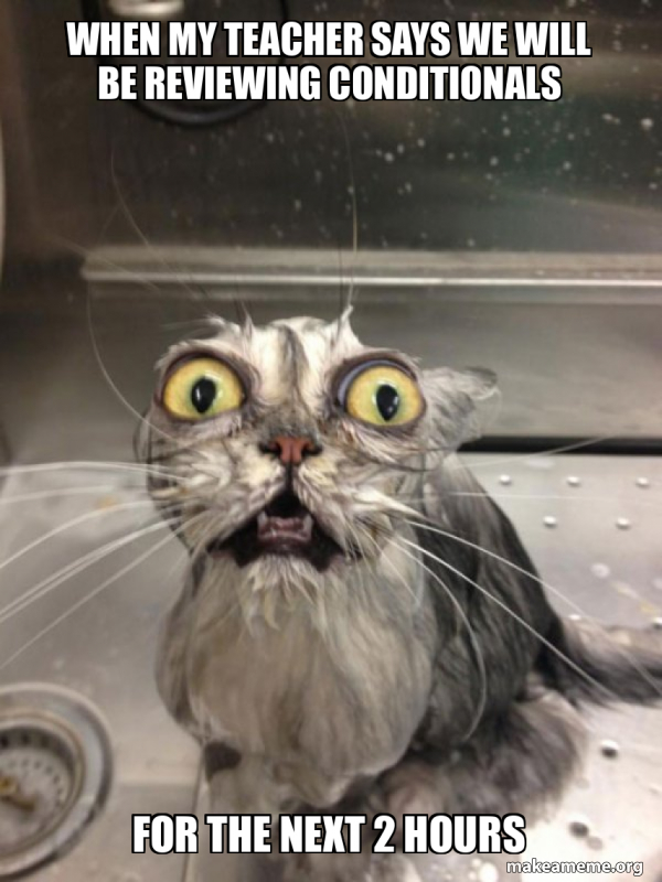 When my teacher says we will be reviewing conditionals for the next 2 ...