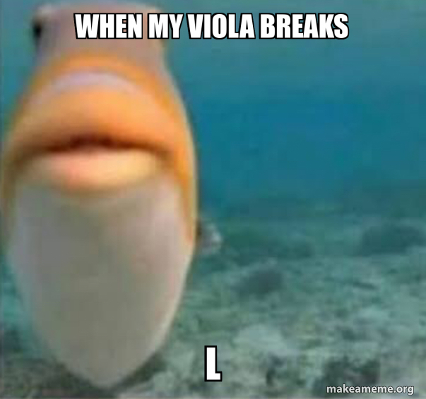 When my viola breaks L Meme Generator