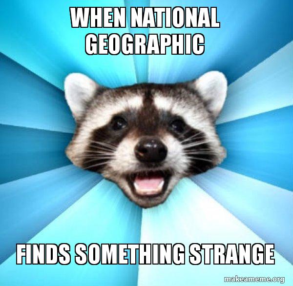 National Geographic Memes Amazon.com: 2018 National Geographic Funny