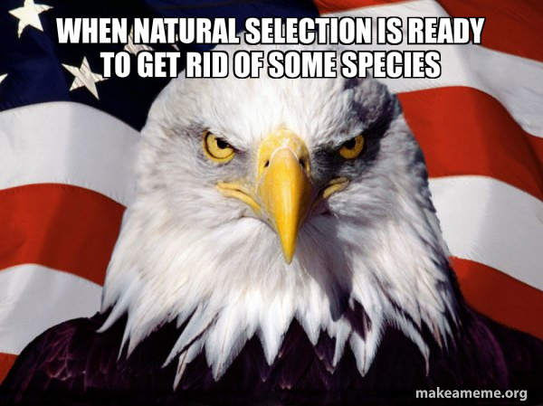 When Natural Selection is ready to get rid of some species - American ...