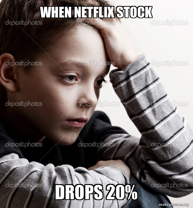 When Netflix Stock Drops 20% Meme Generator