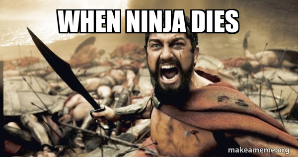 WHEN NINJA DIES - The 300 Meme Generator