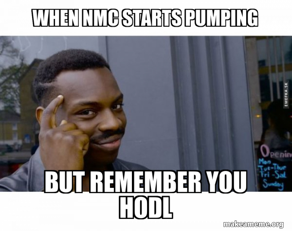 WHEN NMC STARTS PUMPING BUT REMEMBER YOU HODL - Roll Safe Black Guy ...