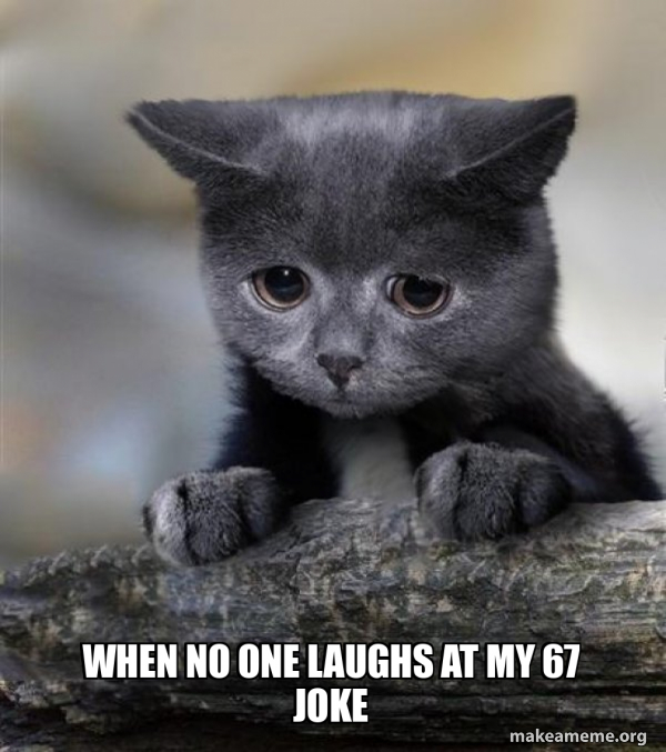when no one laughs at my 67 joke - Confession Cat Meme Generator