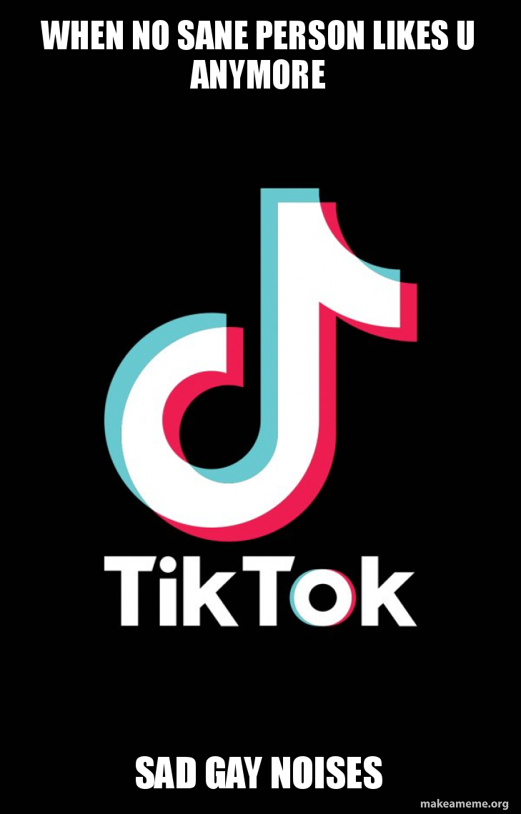 WHEN NO SANE PERSON LIKES U ANYMORE SAD GAY NOISES - TikTok Meme Generator