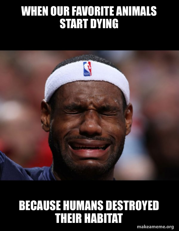 when our favorite animals start dying because humans destroyed their ...