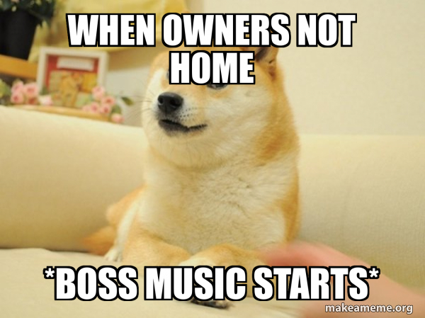 when owners not home *boss music starts* - Doge Meme Generator