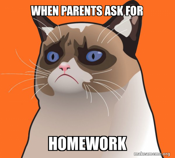 WHEN PARENTS ASK FOR HOMEWORK - Cartoon Grumpy Cat Meme Generator