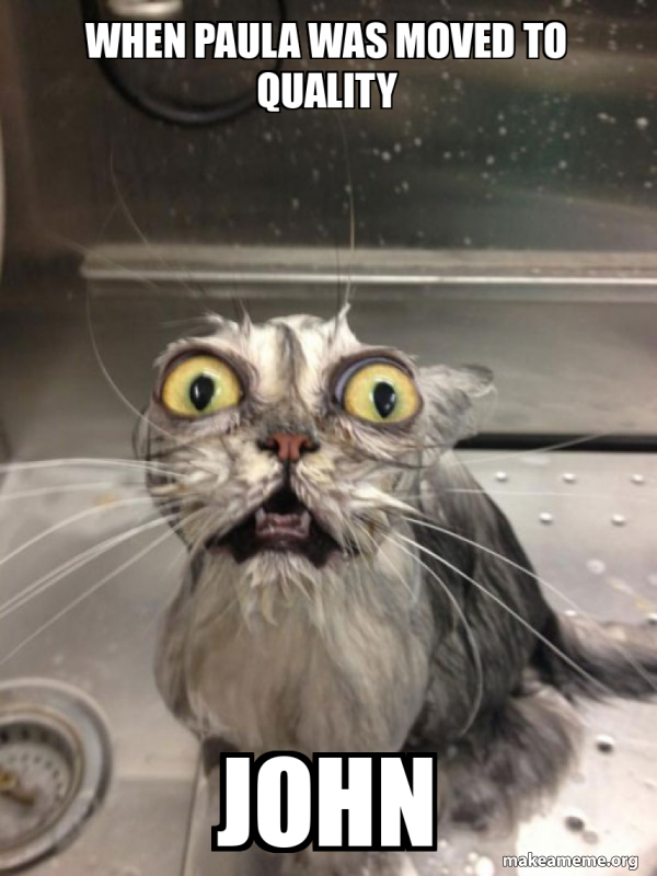 When paula was moved to quality John - Cat bath Meme Generator