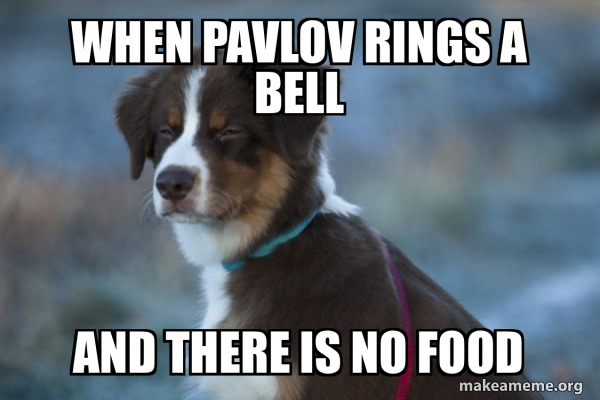 when Pavlov rings a bell and there is no food - Unsure Dog Meme Generator