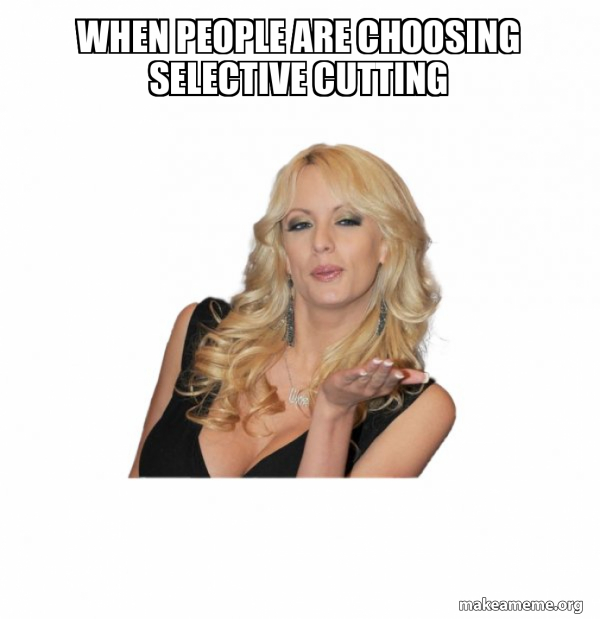 When people are choosing selective cutting - Stormy Daniels Meme Generator