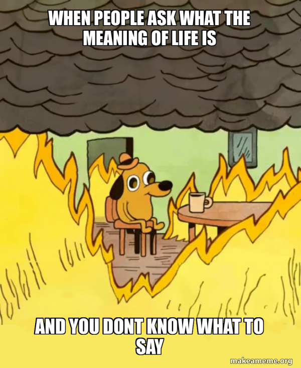 when people ask what the meaning of life is and you dont know what to ...