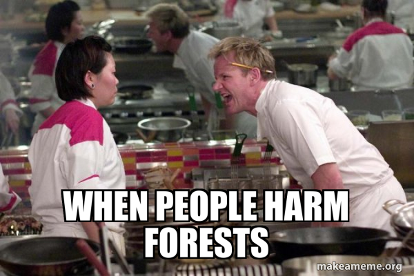 When people harm forests - Gordon Ramsay Meme Generator