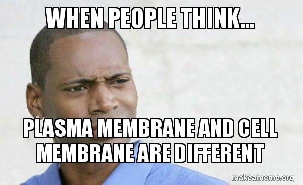 When people think... Plasma Membrane and Cell Membrane are different ...