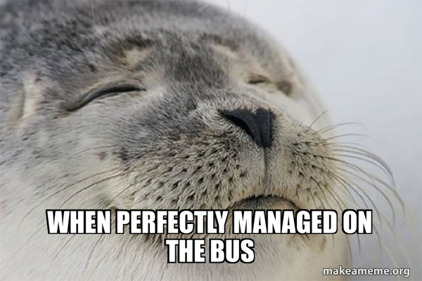 when perfectly managed on the bus - Satisfied Seal Meme Generator