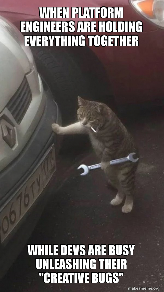 When platform engineers are holding everything together While devs are ...
