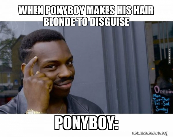 when ponyboy makes his hair blonde to disguise ponyboy: - Roll Safe ...