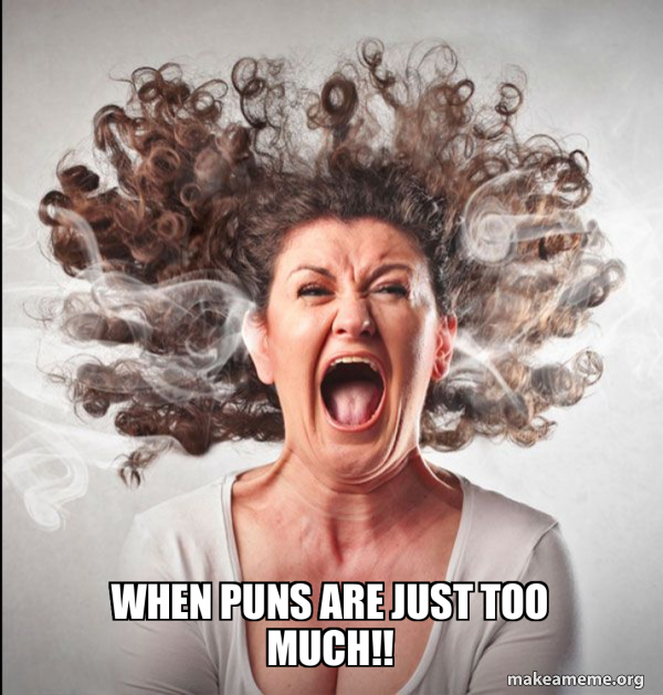 when puns are just too much!! Meme Generator
