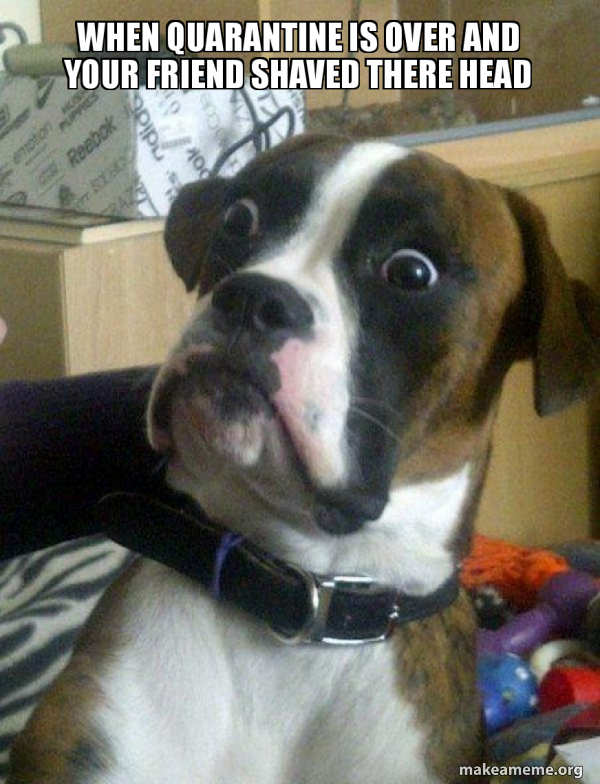 when quarantine is over and your friend shaved there head - Skeptical ...